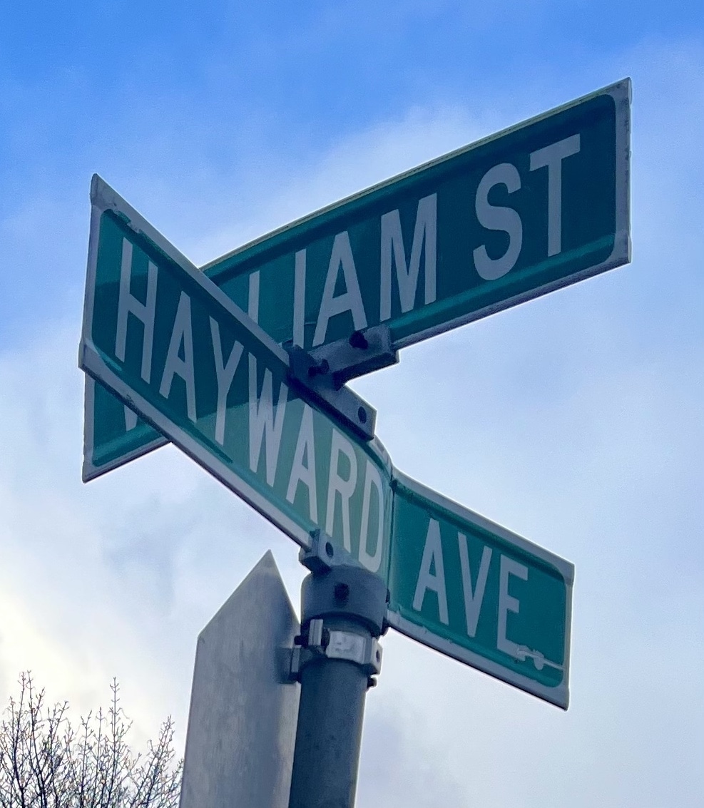 Frank Talk, with Andy Jones – The Independent