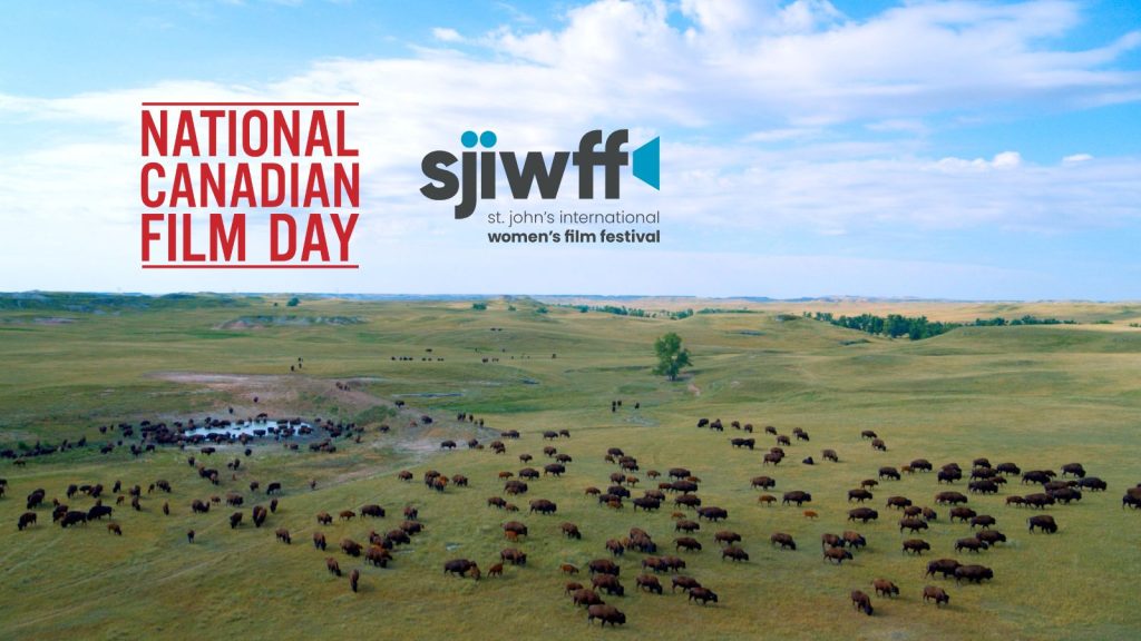 SJIWFF Presents SINGING BACK THE BUFFALO – The Independent